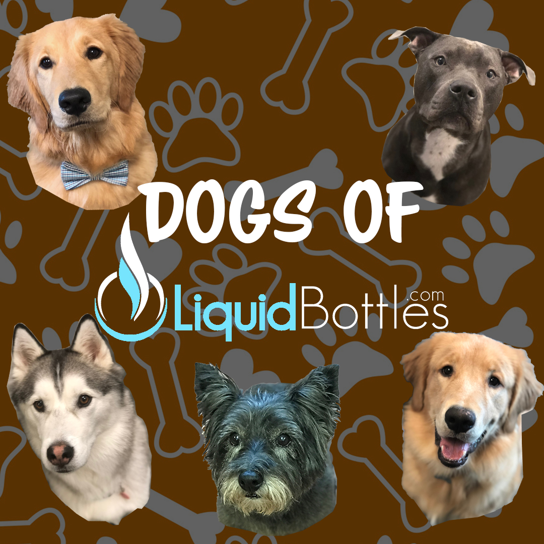 Dogs of Liquid Bottles - Liquid Bottles Blog
